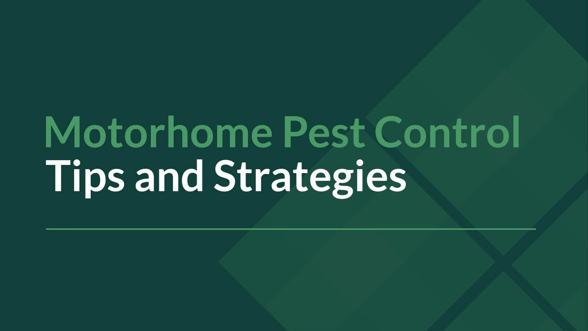 Motorhome Pest Control: Top Tips for Pest-Free Trips- 2023